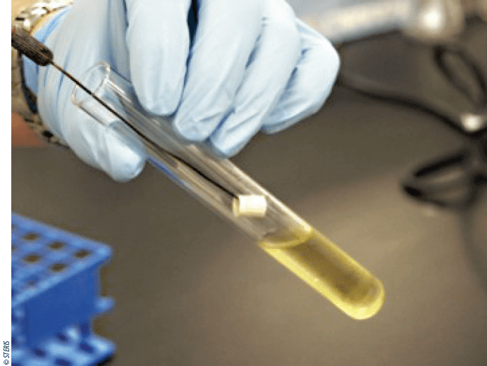 Disinfectant Validation : a roadmap for regulatory compliance